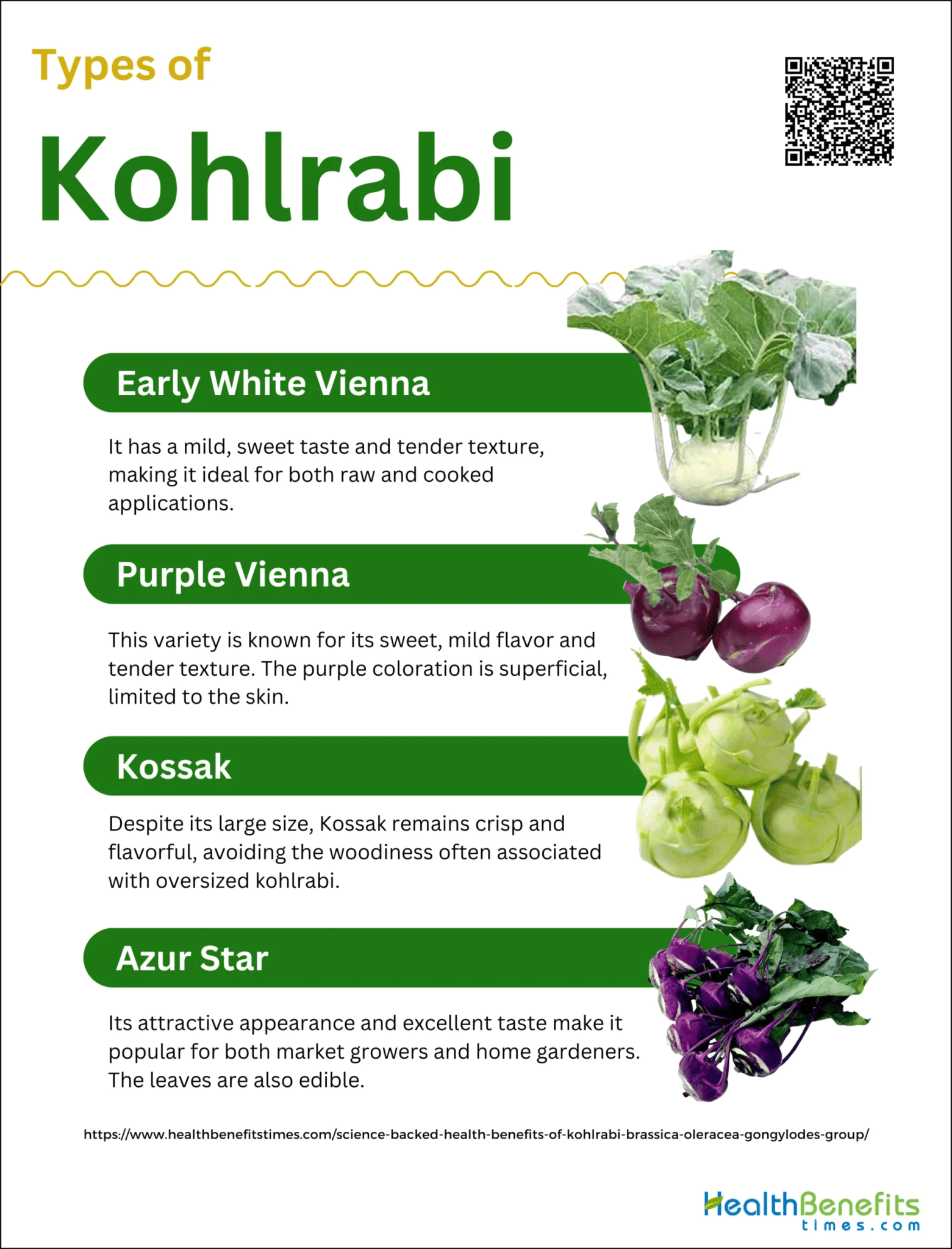 Kohlrabi 101: Your Go-To Guide And Delicious Recipes