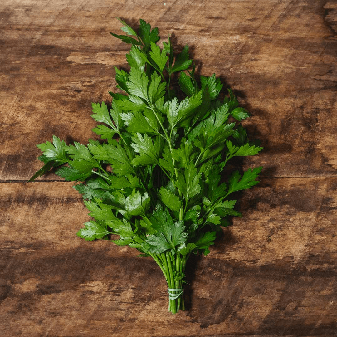 How To Make Parsley Sauce Like A Pro (And Fix It When It Goes Wrong)