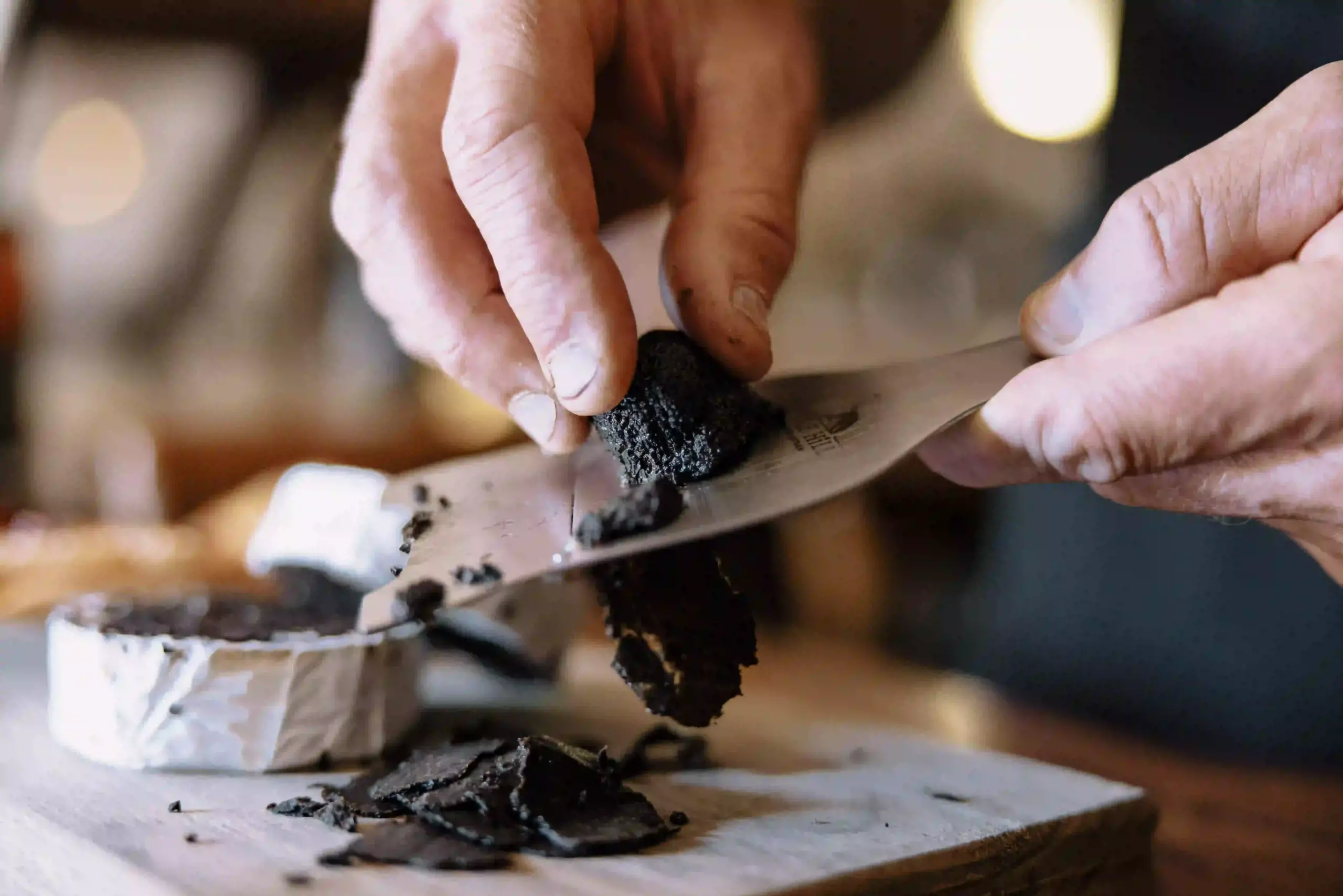 What Is A Truffle And Why Is It So Expensive? The Complete Guide